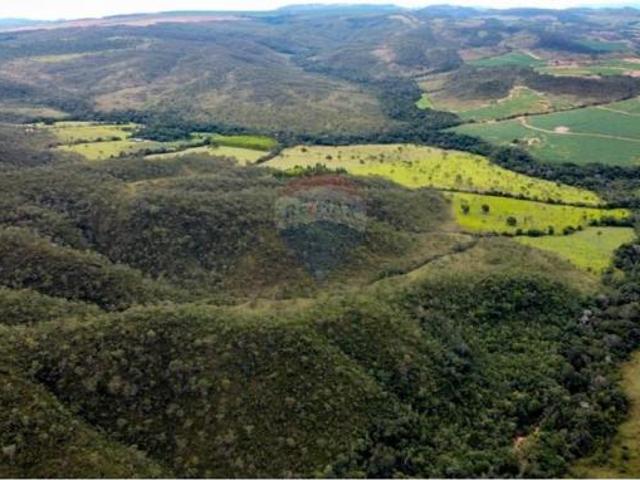 Fazenda de 195 hectares, com Eucaliptos