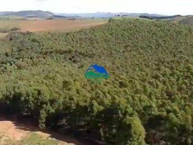 Fazenda de 100 hectares à venda em Seritinga, MG