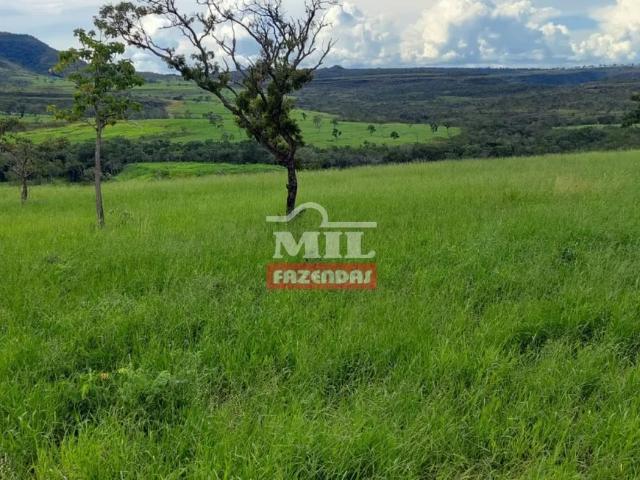 Fazenda de 105 Alqueires 512 Hectares Alto Araguaia MT