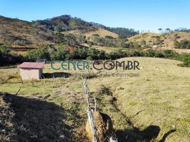 Fazenda de 110 ha em boa Localização na Região de Barbacena MG