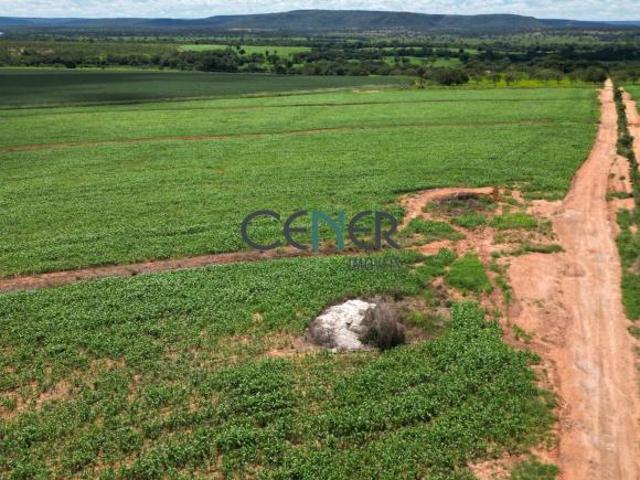 Fazenda de 1176 ha com pivô nas margens do São Francisco por 35 milhões