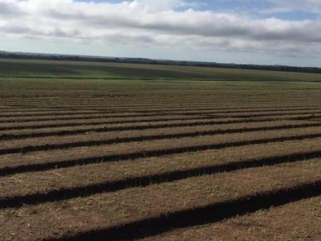 FAZENDA DE 1200 HECTARES NA REGIÃO DE RIO PARDO DE MINAS, PRA CULTURA DE café, grãos, citrus e fruta