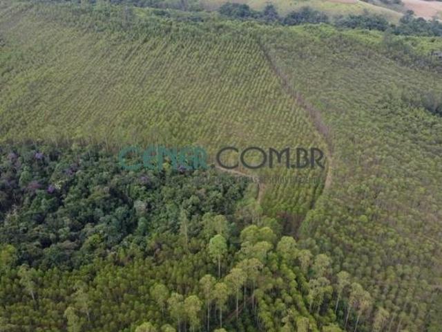 Fazenda de 121 ha Ótima para Lavoura Próximo a Madre de Deus de Minas