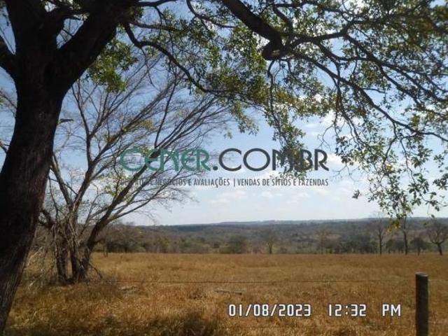 Fazenda de 125 ha em bom despacho MG