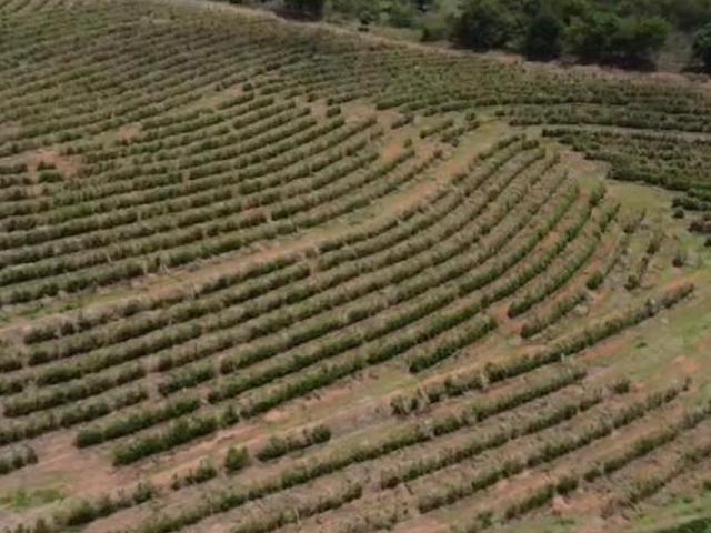 Fazenda de 126 Ha 280 mil pés de café _Sul de Minas