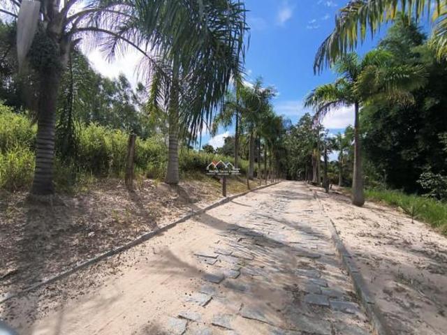 Fazenda de 128ha com Ativo Florestal e Estrutura Premium!