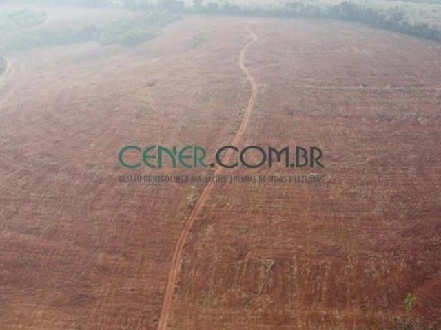 Fazenda de 138,76 ha Extraordinária e Pronta para Plantio de Café ou outras Lavoura