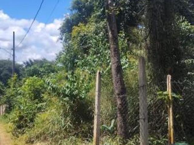 FAZENDA DE 1.000M2