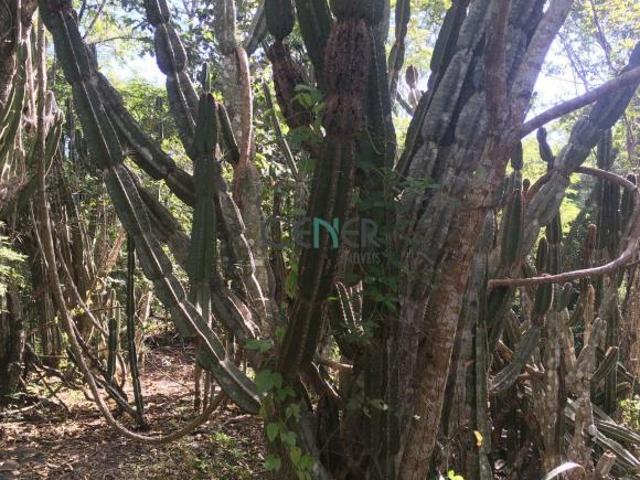 Fazenda de 1.080 há em Curvelo MG
