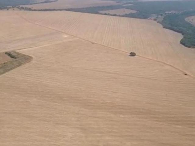 Fazenda de 1.250 Hectares Cultura R$ 100.000.000,00