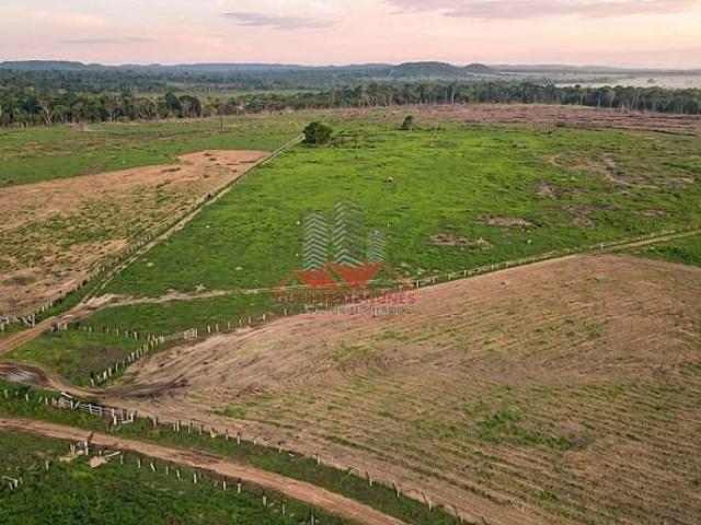 Fazenda de 1.960 ha à Venda em Sinop MT | Dupla Aptidão
