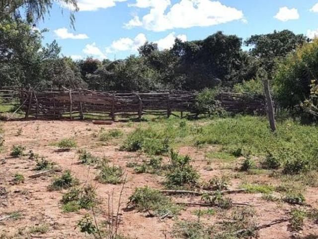 Fazenda de 242 ha em Francisco Sá/MG