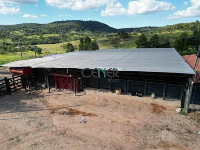 Fazenda de 249 ha estruturada para gado de elite