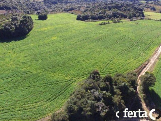 Fazenda de 28 Alqueires na Lapa