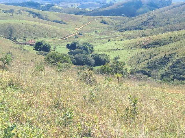 Fazenda de 290 Hectares em Serranos MG | Dupla Aptidão e Excelente Localização