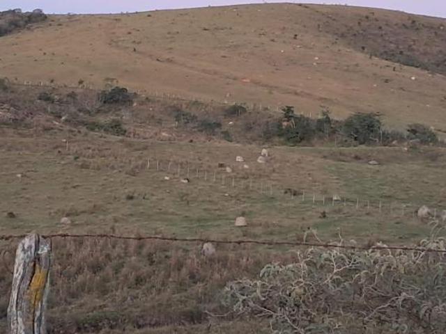 Fazenda de 290 Hectares em Serranos MG | Dupla Aptidão e Excelente Localização