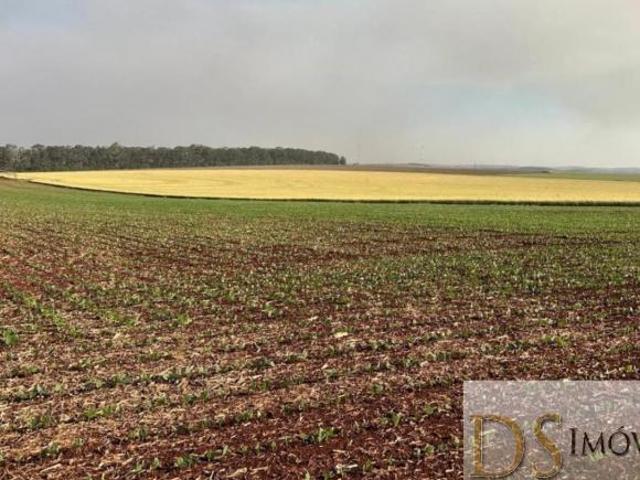 Fazenda de 235 Alqueires em Bernardino de Campos/SP: Oportunidade Única!