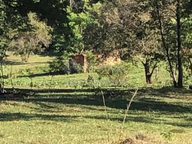 Fazenda de 23,25 Alqueires Rica em Água e Pastagem
