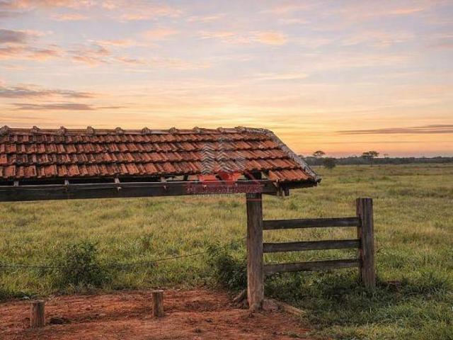 Fazenda de 2.150 ha à Venda no Norte de Minas Gerais