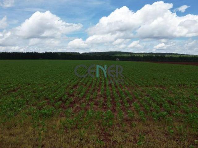 Fazenda de 2 630 ha e 1 392 ha de eucalipto centro norte de MG