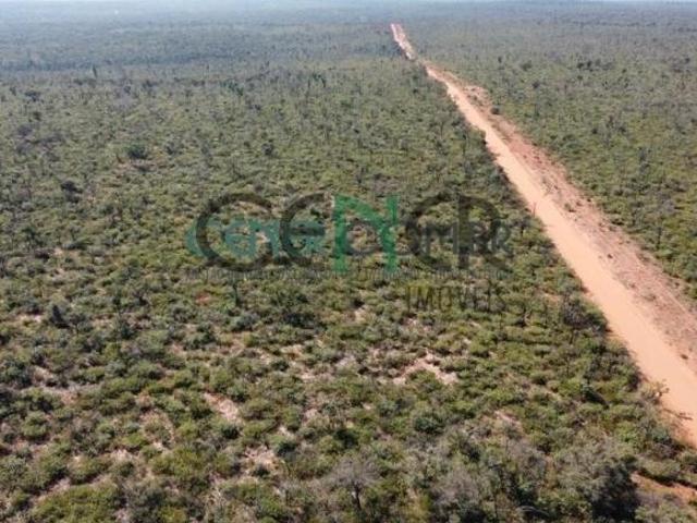 Fazenda de 2.956,62 ha toda Plana Ótima para Reflorestamento