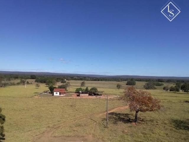 Fazenda de 350 h formada, com Rio São Francisco. outorga. Topografia plana