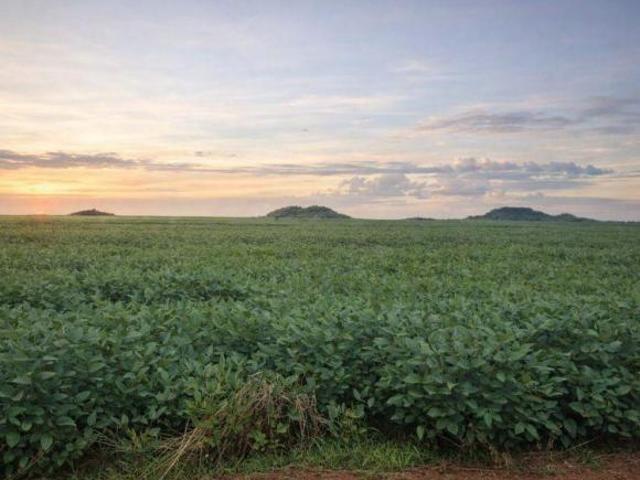 Fazenda de 35 mil ha à Venda em Santa Terezinha MT | Agro