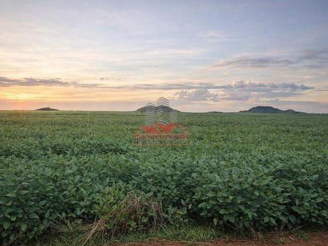 Fazenda de 35 mil ha à Venda em Santa Terezinha MT | Agro