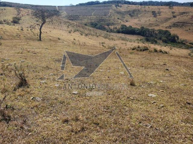 Fazenda de 367 hectares_ pecuária, boa de água, já foi produtora de café