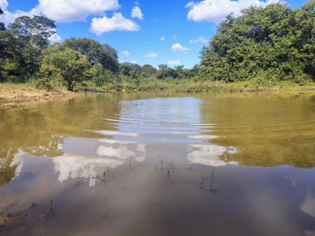 Fazenda de 387 hectares em Bocaiúva MG