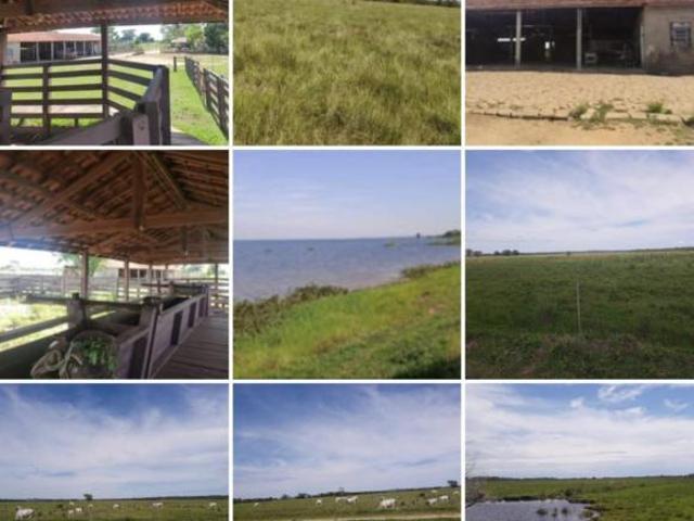 Fazenda de 300 alqueires na pecuária, dupla aptidão 10 kms de margens do Rio Paranazão, na divisa