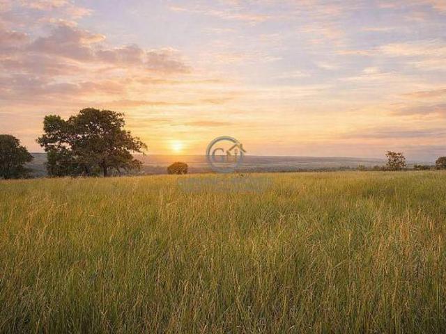 Fazenda de 30 Mil Hectares à Venda em Nova Xavantina MT