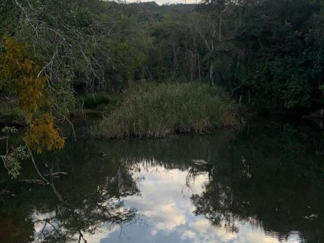 Fazenda de 30 hectares em Oliveira MG, Toda formada, 5 represas e varias nascentes