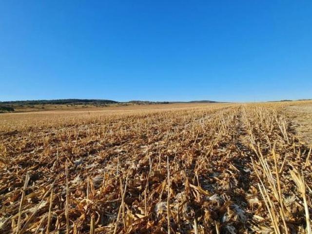 FAZENDA DE 337 HECTARES EM SÃO JOÃO DA ALINÇA EM GOIÁS