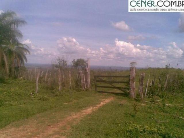 Fazenda de 339 ha Ótima para pecuária ou Reserva
