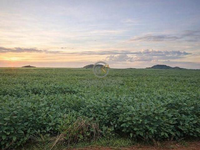 Fazenda de 33 mil ha à Venda em Santa Terezinha MT | Agro