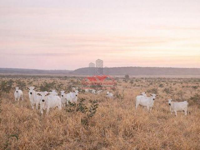 Fazenda de 3.050 ha à Venda em Sapezal MT | Oportunidade