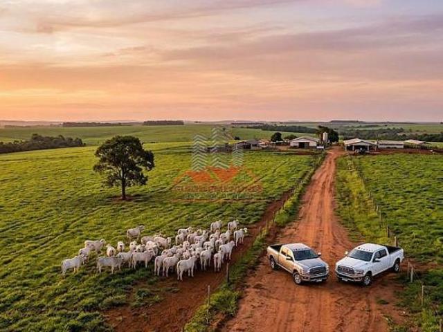 Fazenda de 3.085 ha perto de Cuiabá | Dupla Aptidão à Venda