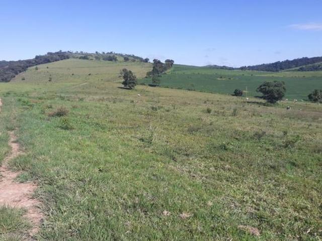 Fazenda de 443,7 hectares _Boa de Água_ Propriedade mista pecuária e agricultura