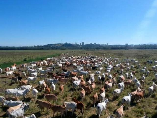 Fazenda de 440 hectares Totalmente Plana em São José dos Campos/SP