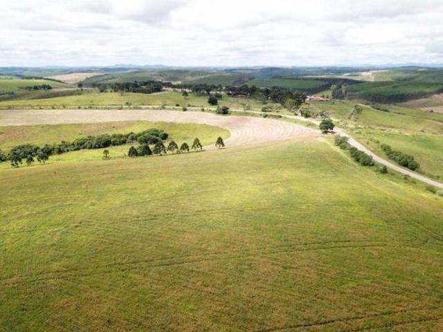 Fazenda de 440 hectares com 200 hectares de soja e milho e luxuosa casa sede em Cruzília/MG