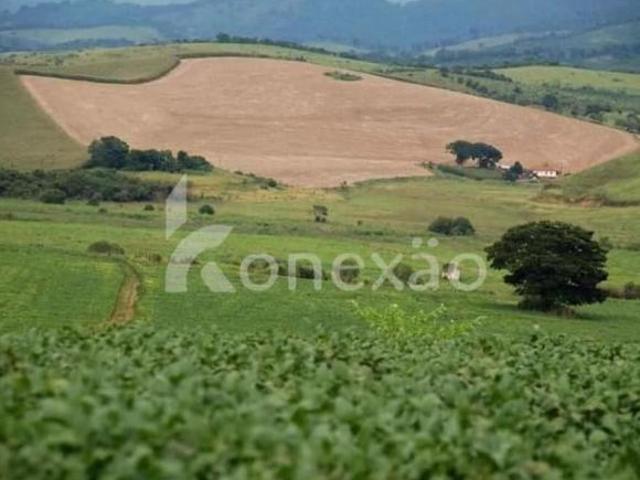 Fazenda de 458 hectares com 200 mil pés de café e potencial agrícola em Carmo de Minas/MG
