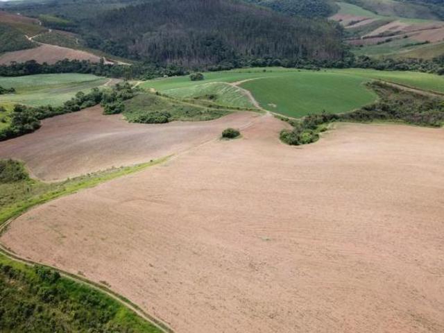 Fazenda de 45 Alqueires, região de Andradas, Agricultura e Pecuária