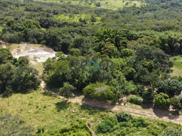 Fazenda de 402 ha na região de Bom Despacho MG