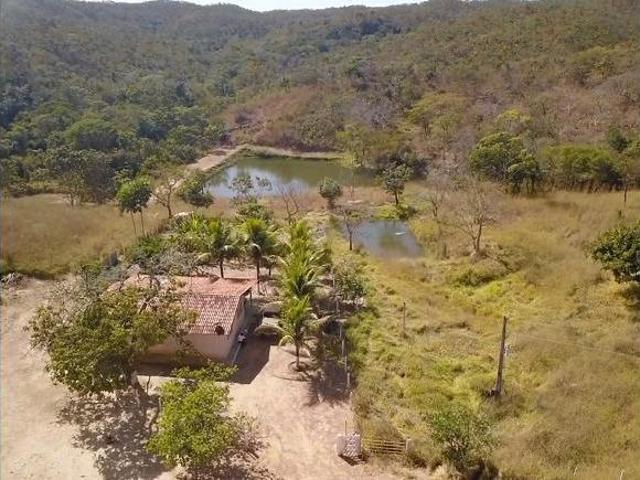 Fazenda de 40 alqueires em ORIZONA GO Fazenda à Venda, 1936000.00 por R$ 5000000.00 TA14388