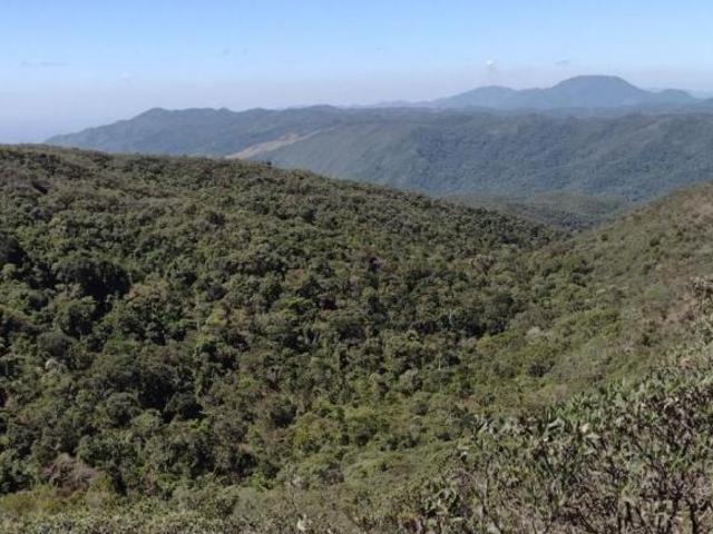 Fazenda de 422 hectares com Cachoeira e Casa Sede Luxuosa em Arapeí/SP