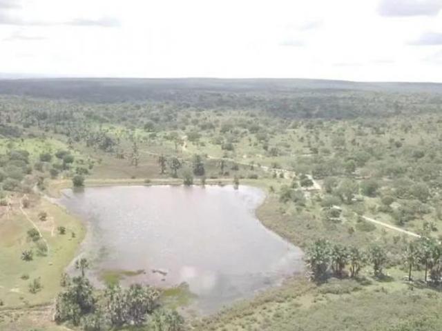 Fazenda de 4.000 ha em Buritizeiro/MG – Dupla Aptidão e Logística Privilegiada
