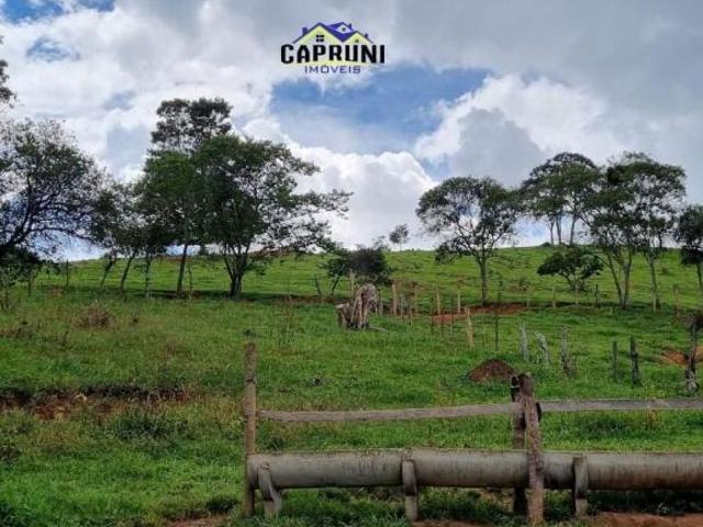 Fazenda de 54 Hectares com Infraestrutura Completa entre Piracema e Passa Tempo
