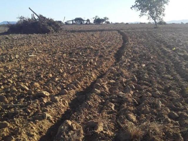 FAZENDA DE 557 ALQUERES GOIANO ÁREA AGRÍCOLA 400 ALQUERES E 300 ALQUERES LIMPO!