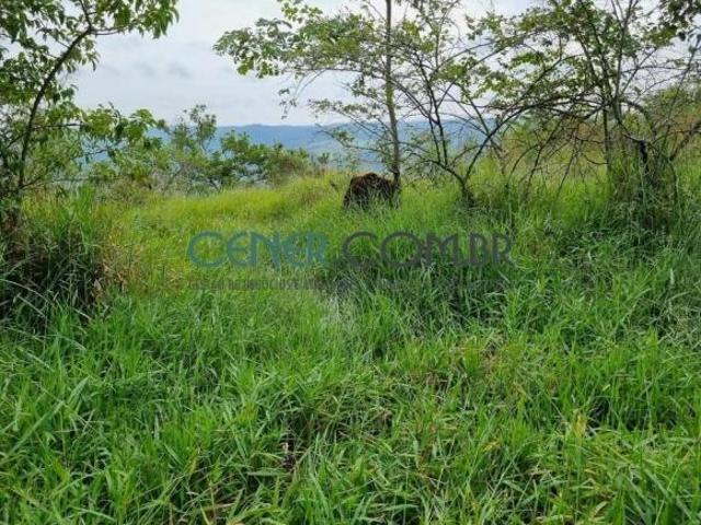 Fazenda de 586 ha em Santo Antônio do amparo no Sul de Minas